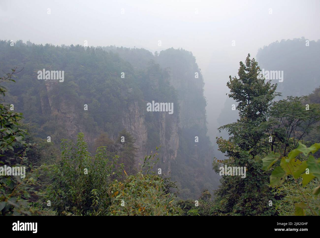 Zhangjiajie National Forest Park, Hunan Province, China: Misty ...