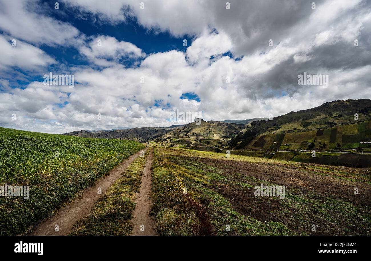 Farmland in the Andes Mountains, Quito, Ecuador, South America Stock ...