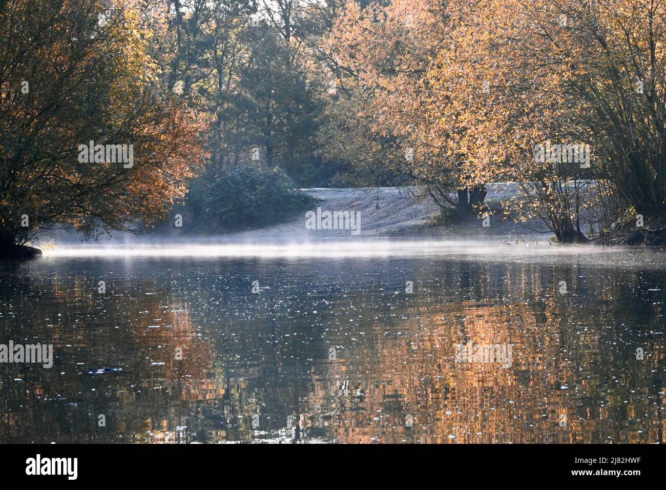 Mitcham common london uk hi-res stock photography and images - Alamy