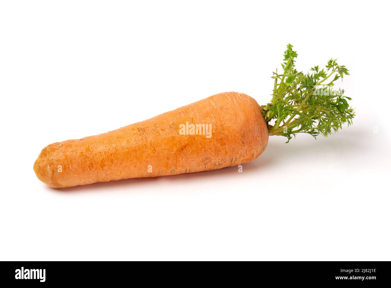 Orange carrot root vegetable with greens on a white background Stock ...