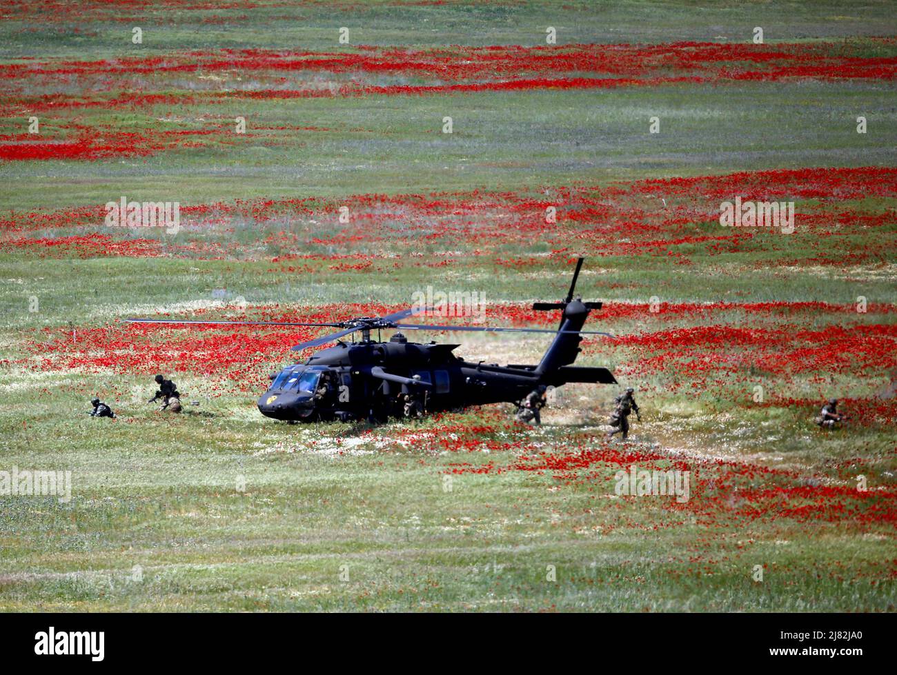 Swift response 22 hi-res stock photography and images - Alamy