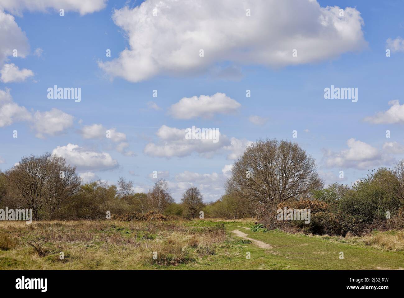 Mitcham common hi-res stock photography and images - Alamy
