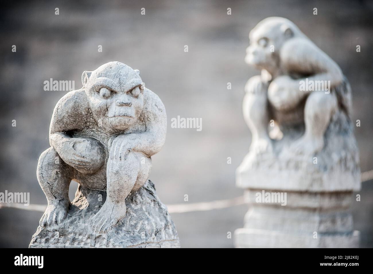 Chinese religious stone carving of two monkeys Stock Photo - Alamy