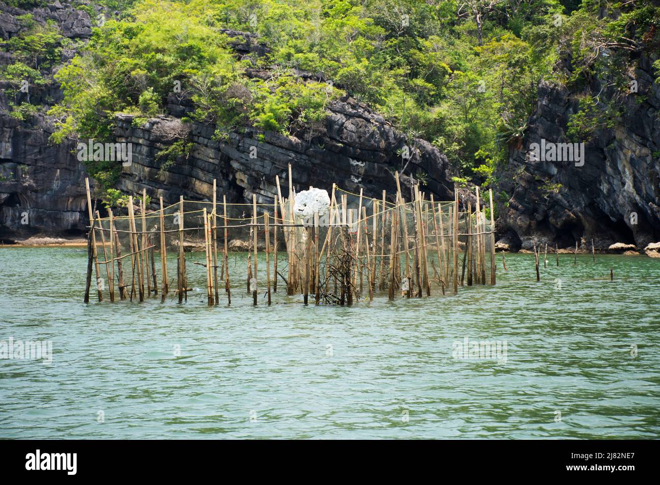 Landscape seascape and raise marine fish farm in bamboo cage of thai ...