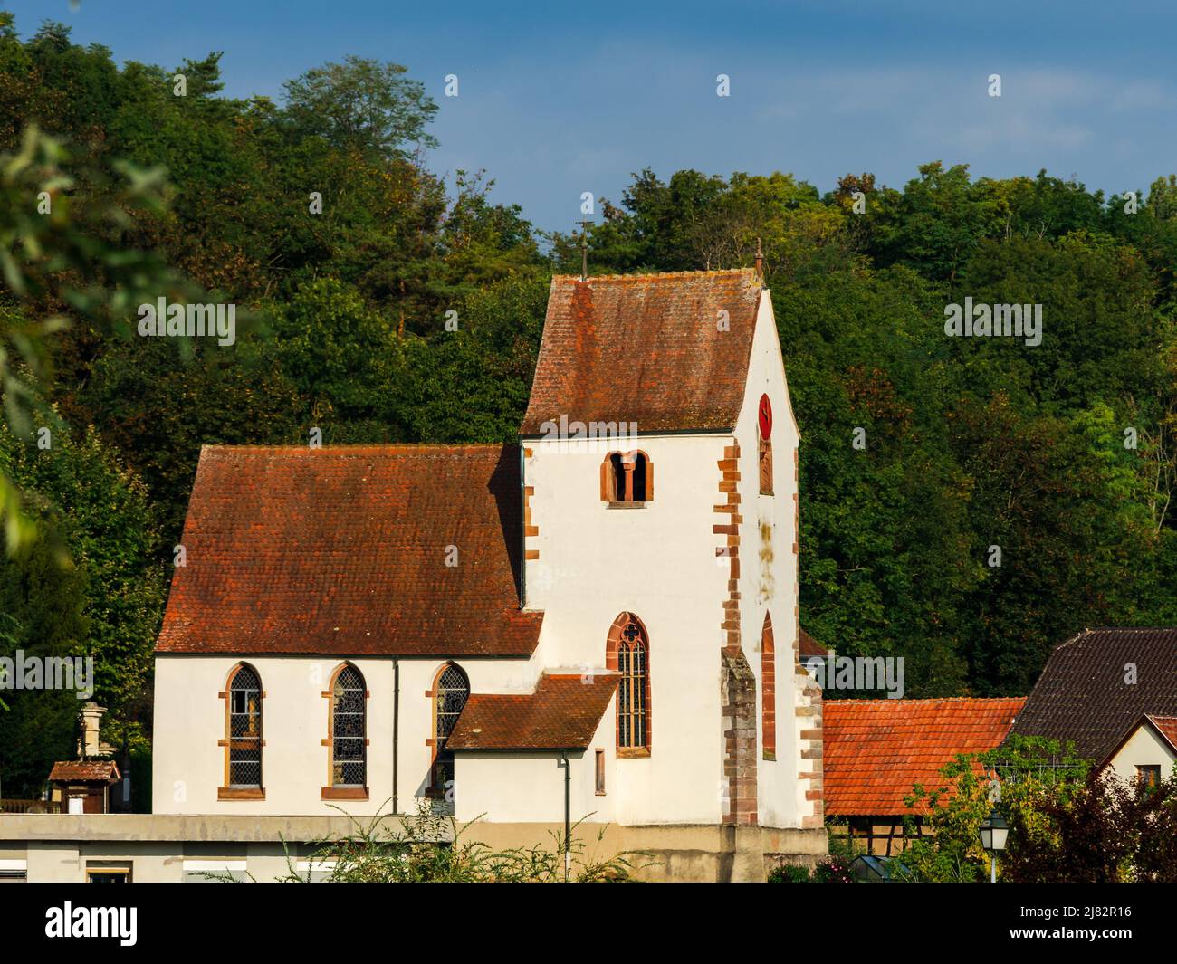 A horse on a green meadow against the backdrop of a medieval village ...