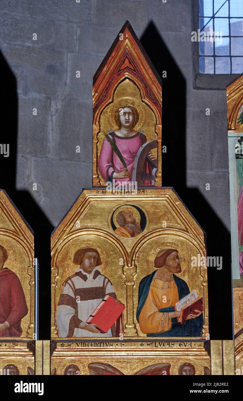 S. Vincenzo martire,S. Luca Evangelista e S. Caterina d’ Alessandria ...