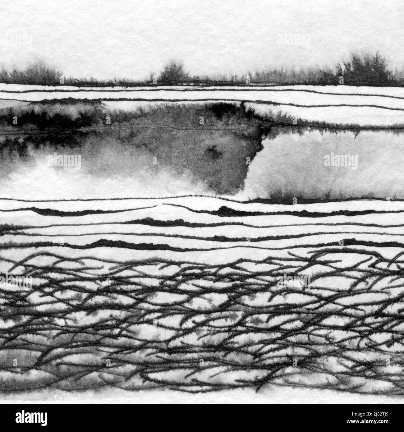 Abstract landscape ink hand drawn illustration. Black and white ink ...