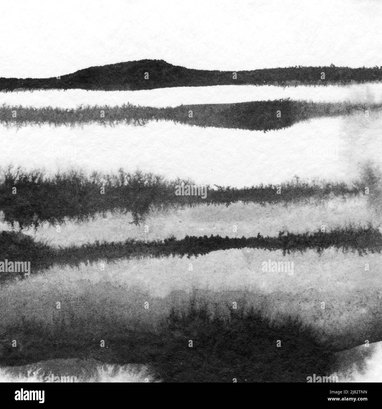 Abstract landscape ink hand drawn illustration. Black and white ink ...