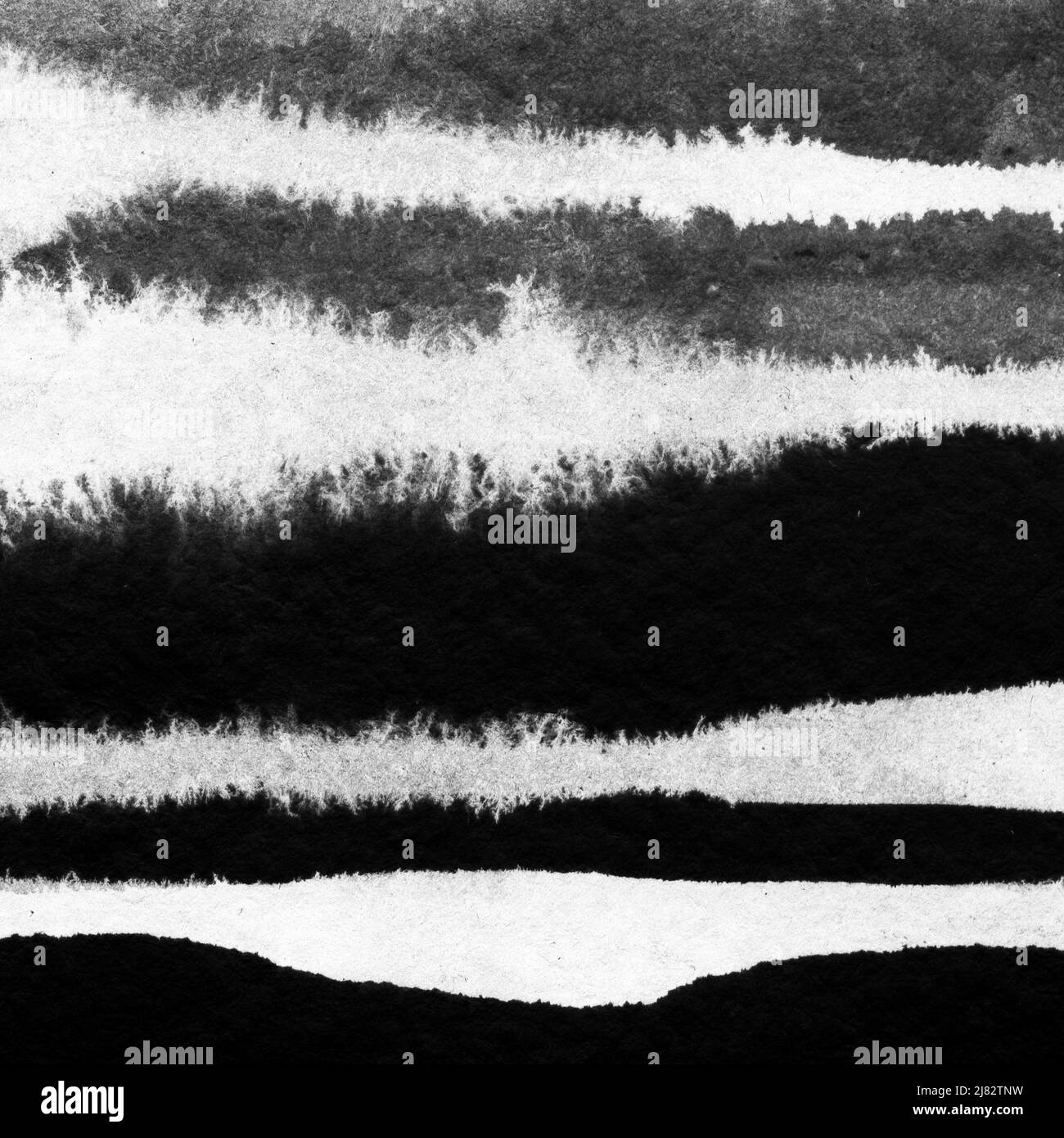 Abstract landscape ink hand drawn illustration. Black and white ink ...