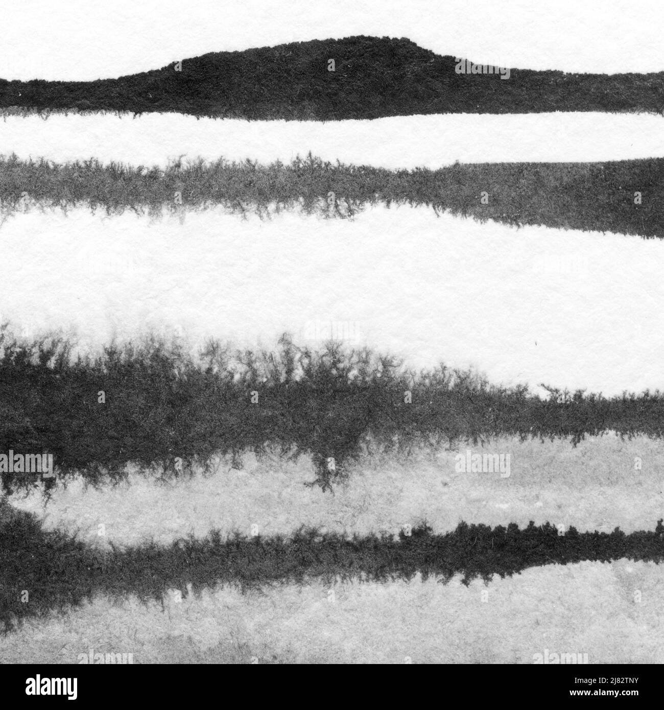 Abstract landscape ink hand drawn illustration. Black and white ink ...