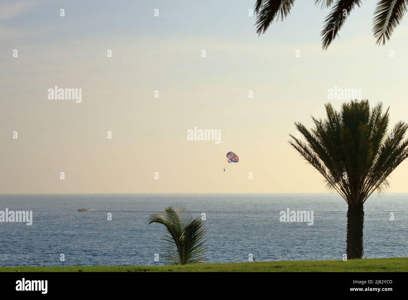 Skydiving skydiver and passenger tandem parachute approach on the ...