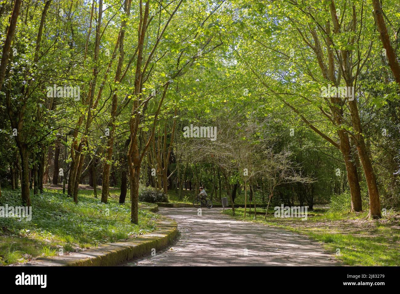 Pedestrian paths in an urban park Stock Photo - Alamy