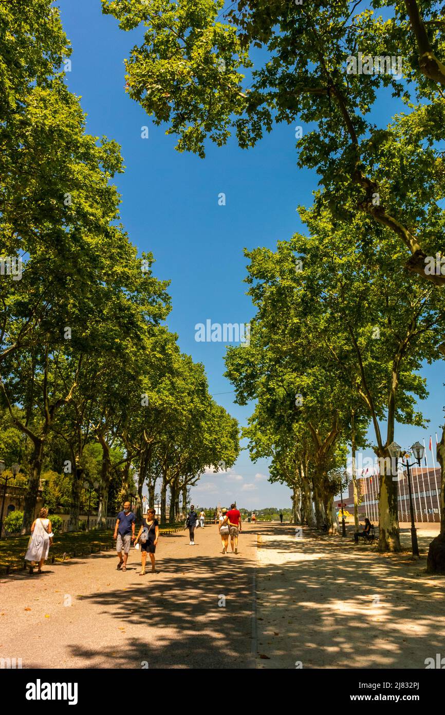 Montpellier, France, People Walking in Public Park with Trees Stock ...