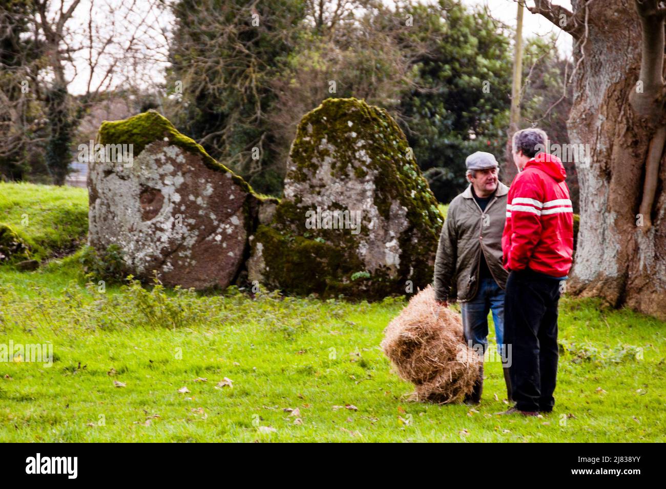 Grange stone circle in Lough Gur, Ireland Stock Photo - Alamy