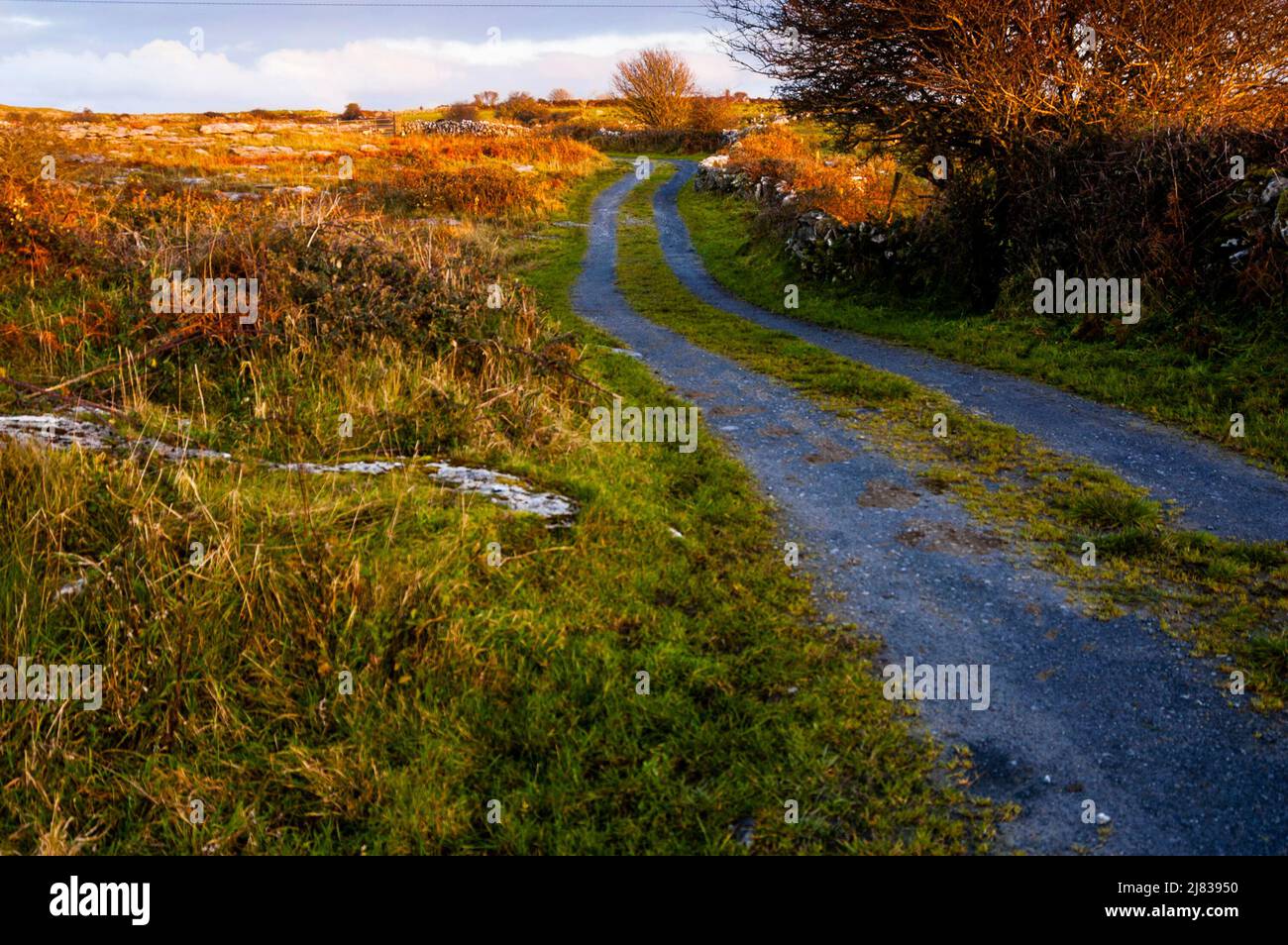 The Burren in County Clare Ireland karst landscape Stock Photo - Alamy