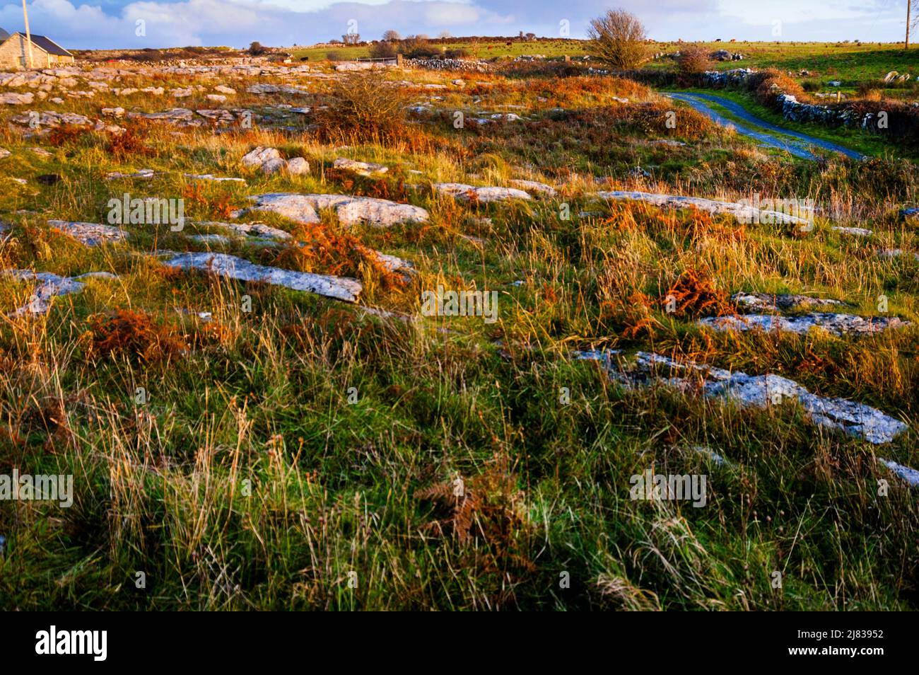 Glacial era limestone hi-res stock photography and images - Alamy