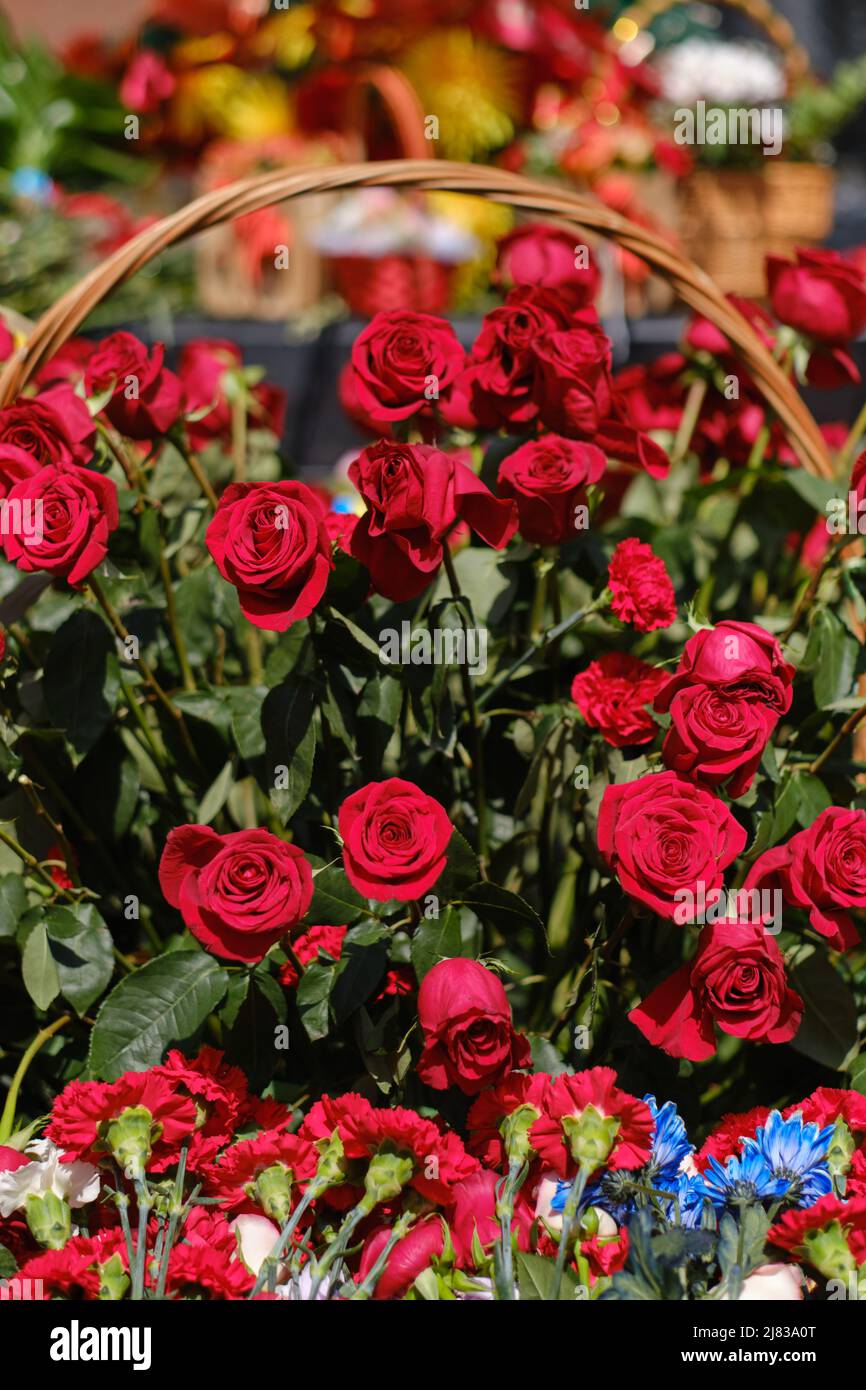 Laying flowers on Victory Day on the ninth of May Stock Photo - Alamy