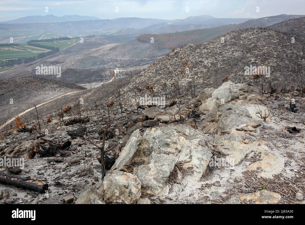 Scorched Earth: Fire Devastation in Elgin, South Africa Stock Photo - Alamy