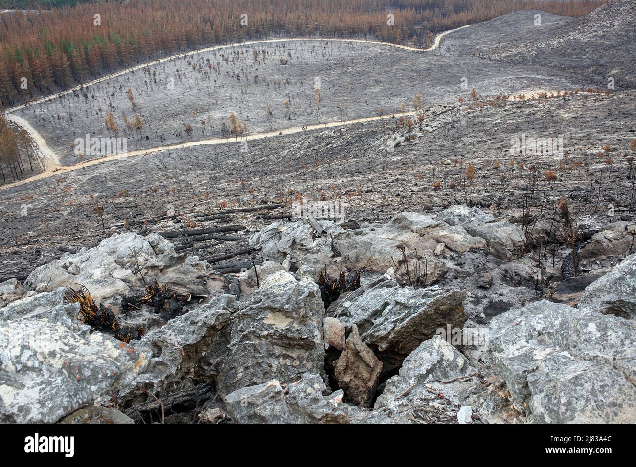 Scorched Earth: Fire Devastation in Elgin, South Africa Stock Photo - Alamy