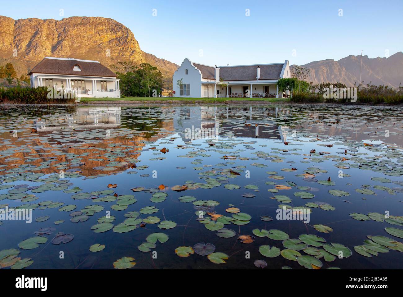 Stunning Reflections: Lily Pads and Cape Dutch Architecture at La Cotte ...