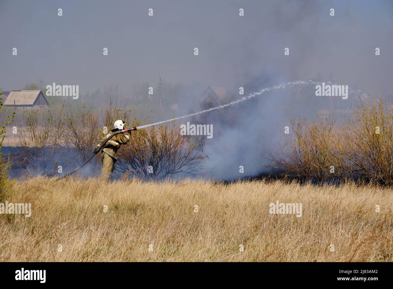 Firefighter extinguishes burning, dry grass from fire hose Stock Photo ...