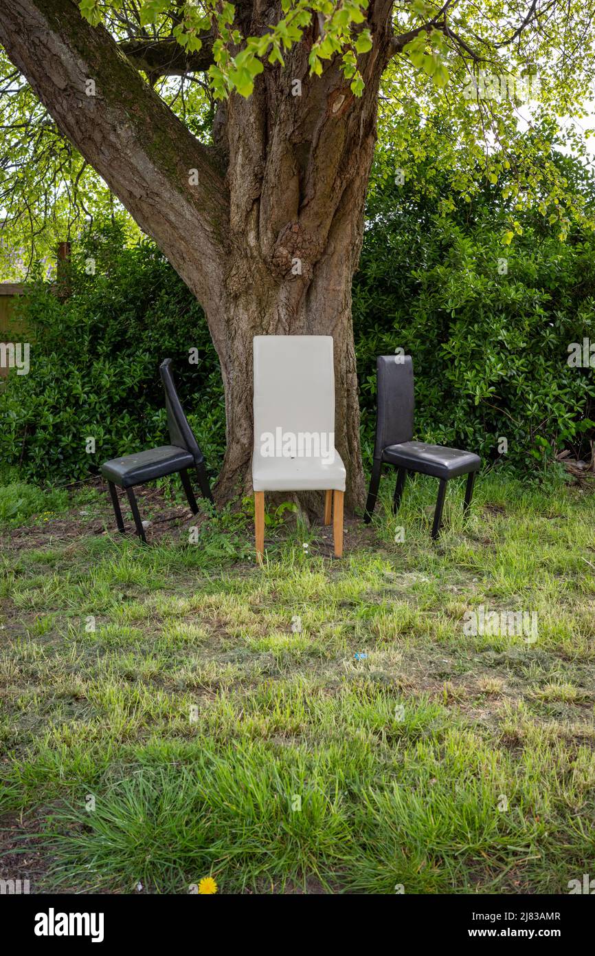 High back chairs hi-res stock photography and images - Alamy