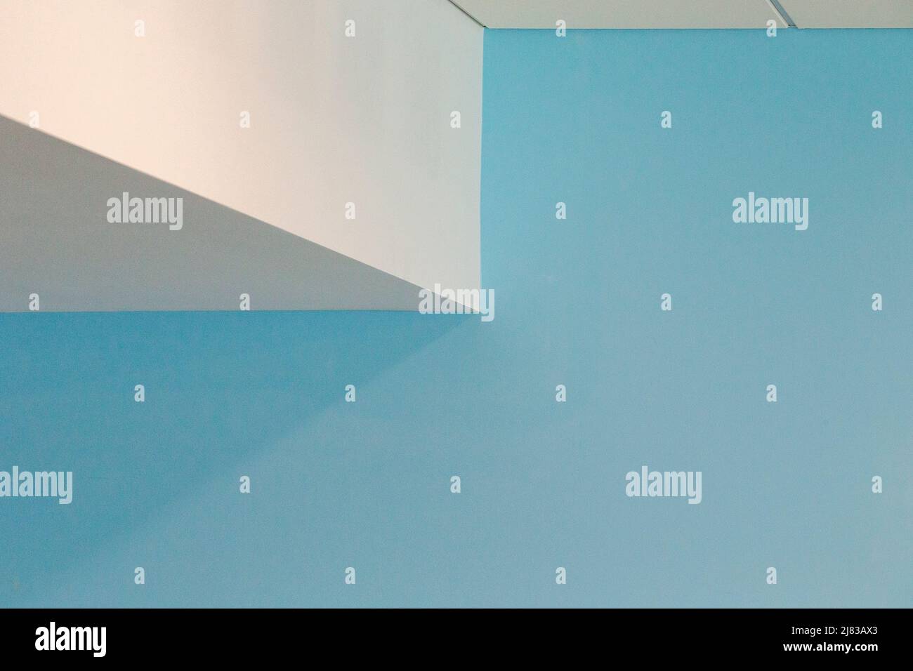 painted wall with white drop down ceiling. fleeing perspective Stock ...