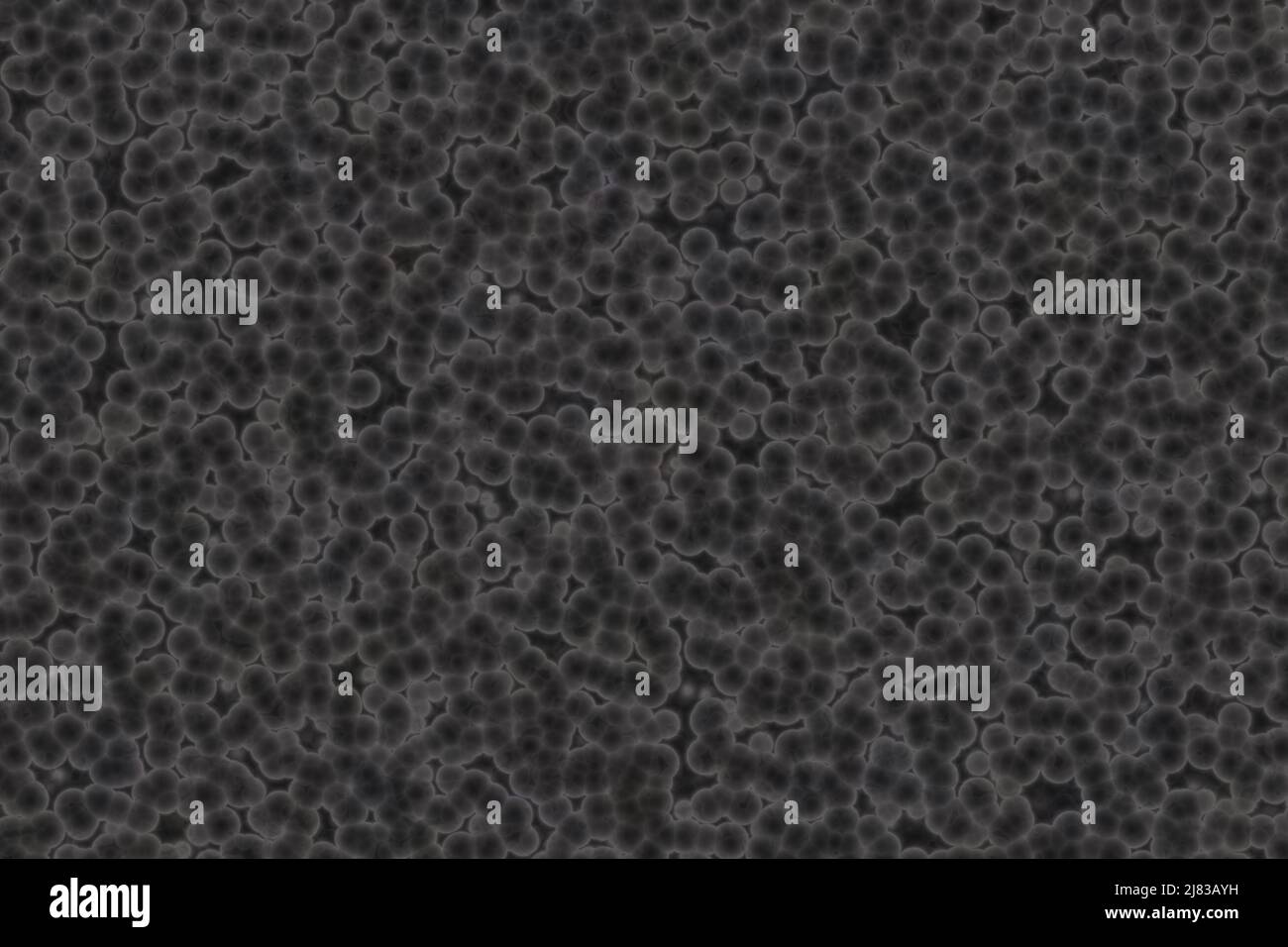 cute artistic a lot of biological bacterias digitally drawn texture ...