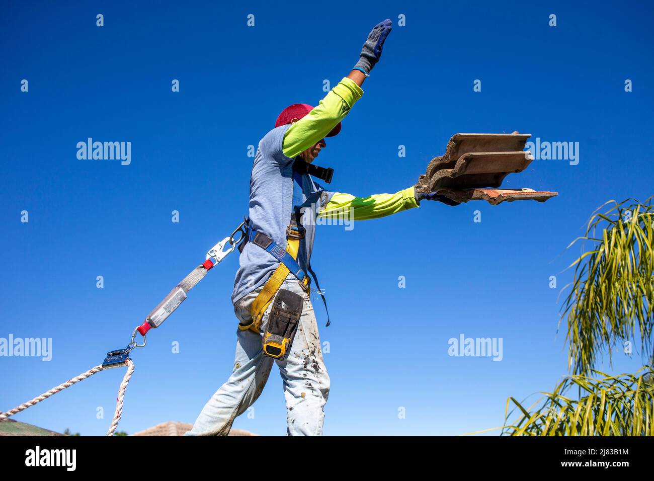 Roofer dismantling old roof tiles and throwing them into a dumpster ...