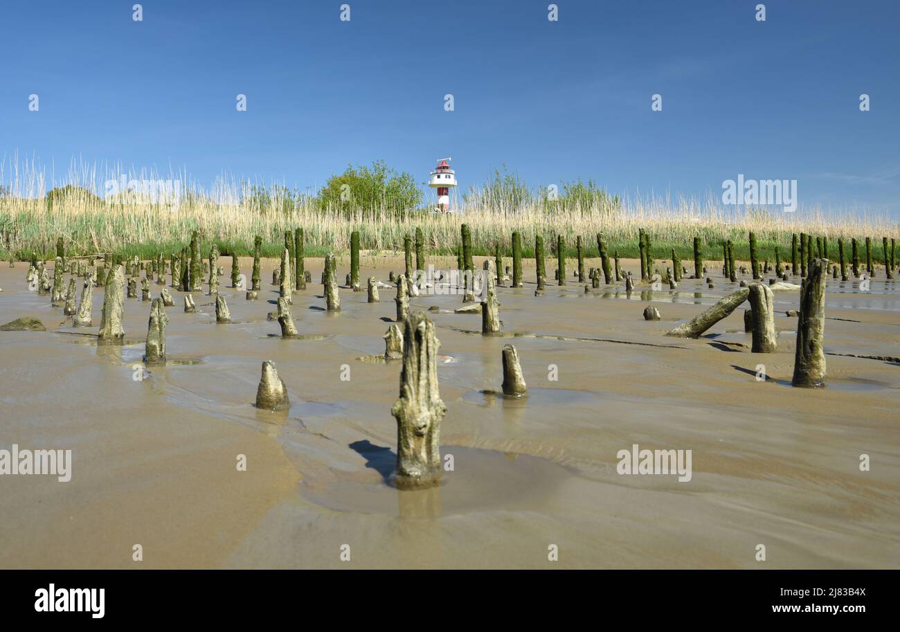 Beach On The Elbe Stock Photo - Alamy