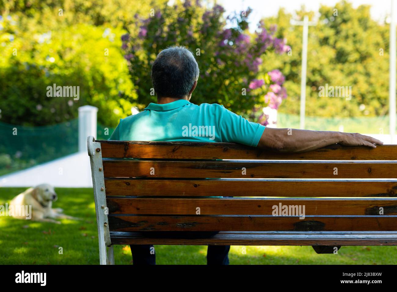 Man lying on bench with his dog bench hi-res stock photography and ...