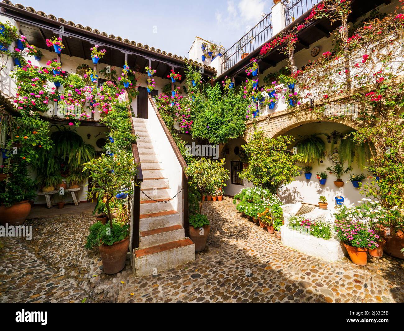 Traditional Andalusian courtyard full of plants and flowers in the old ...