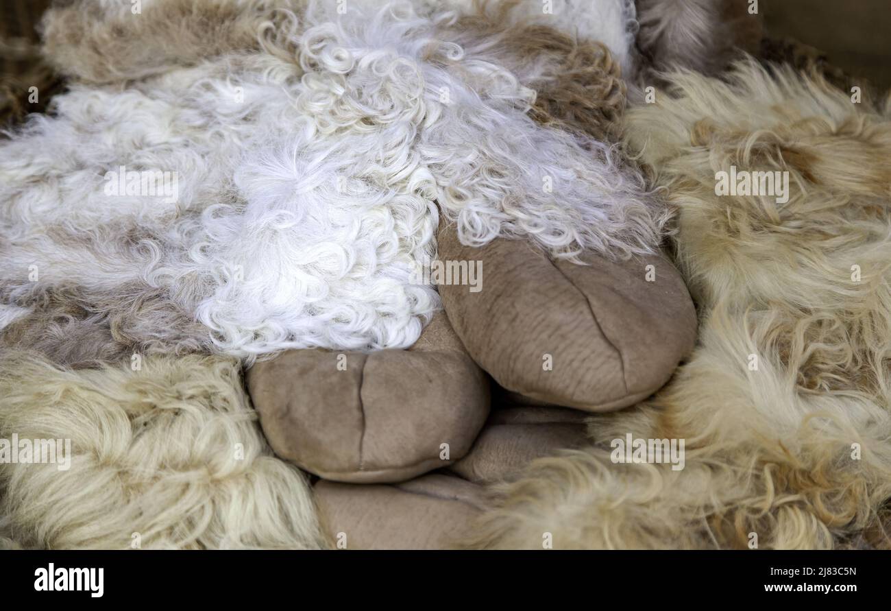 Goat skin clothing hi-res stock photography and images - Alamy
