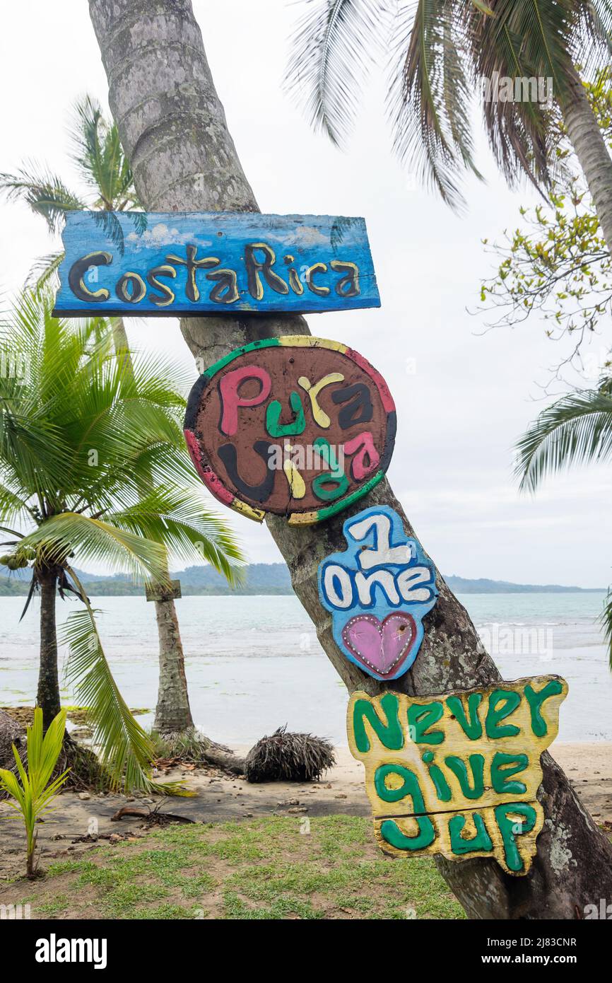 Inspiring uplifting signs on palm tree chino beach puerto viejo hi-res ...