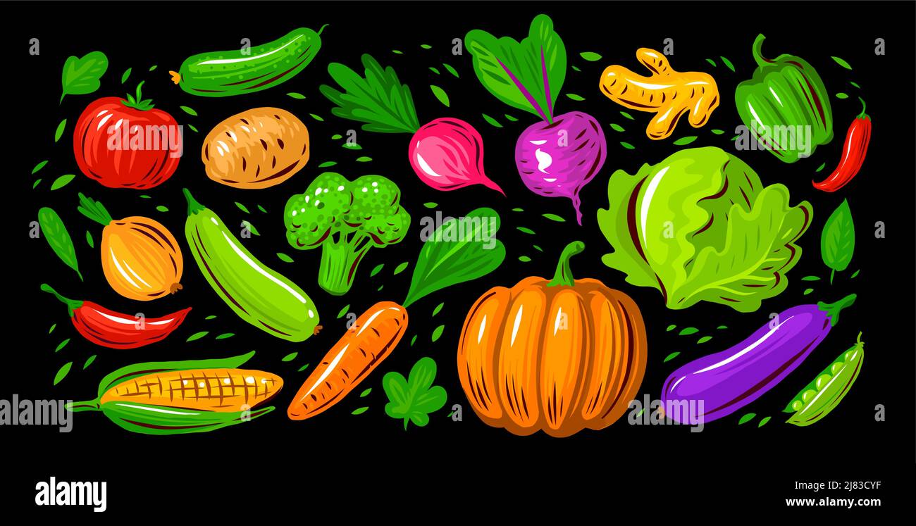 Organic farm food set. Vector illustration fresh vegetables and root ...