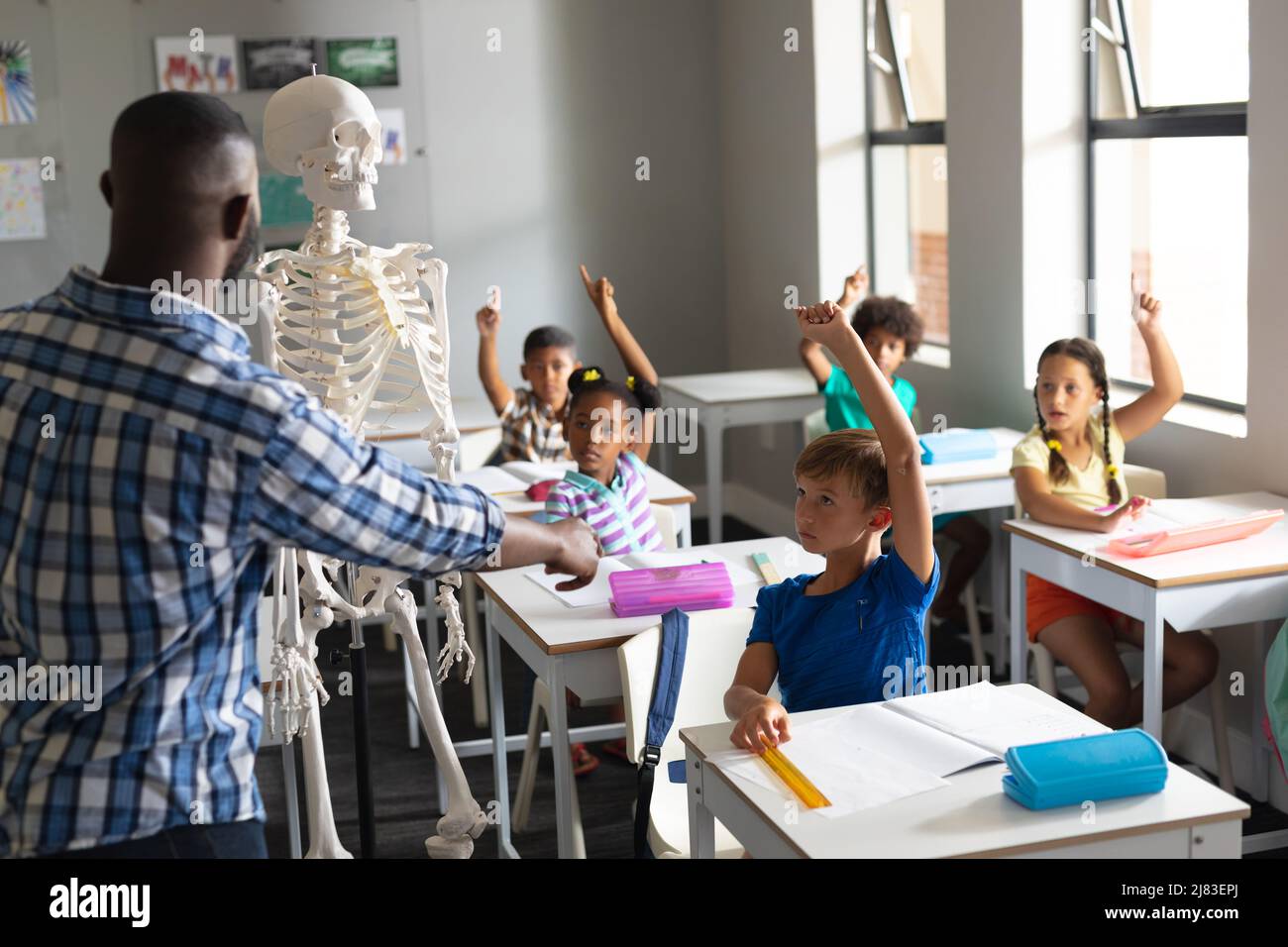 African american young male teacher explaining skeleton to multiracial ...