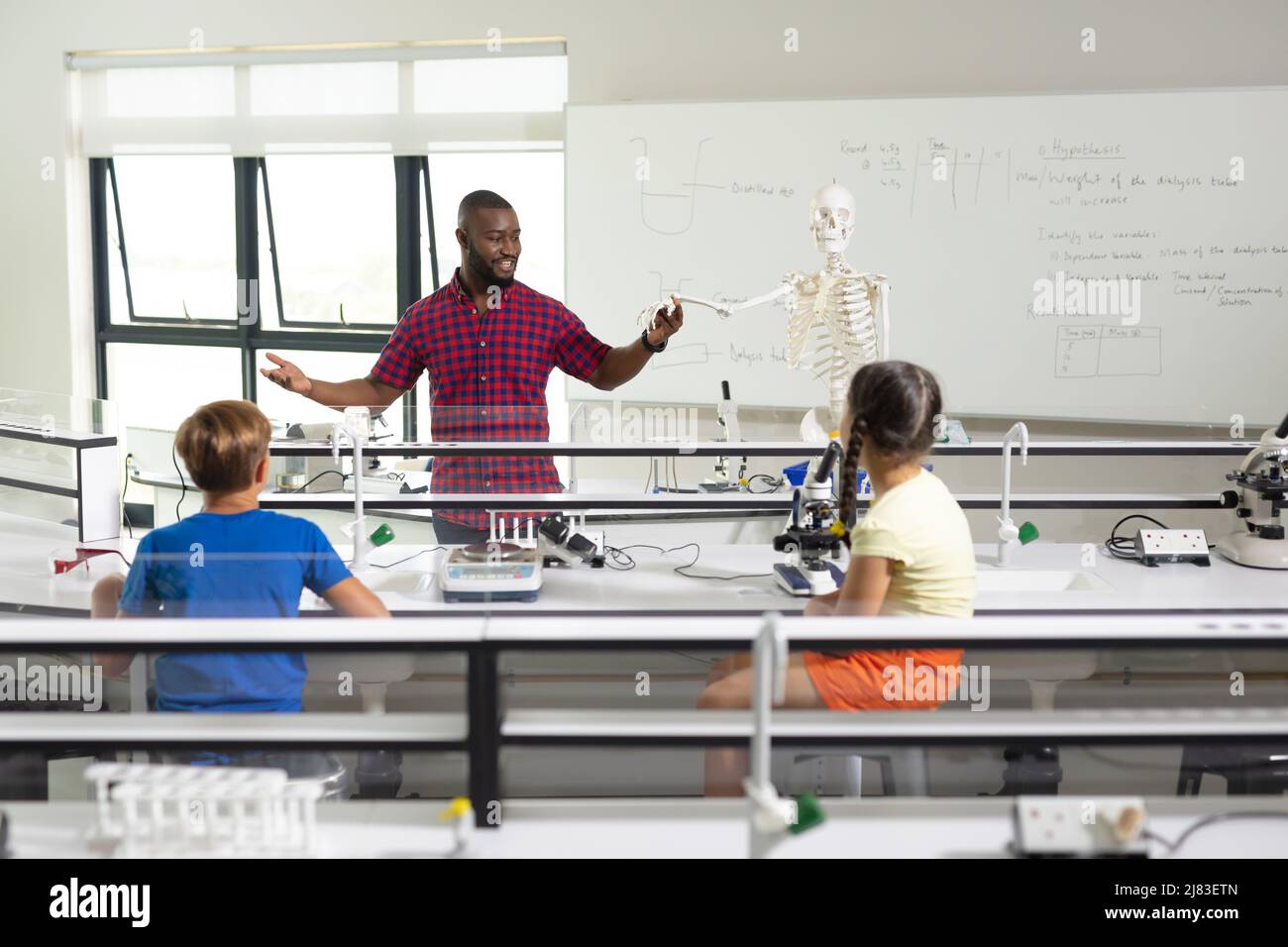Teaching skeleton hi-res stock photography and images - Alamy