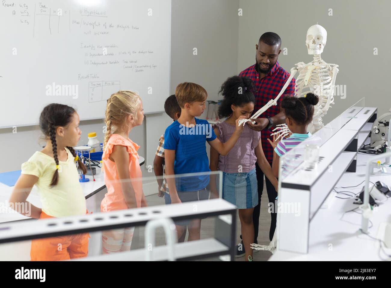 Lab skeleton hi-res stock photography and images - Alamy