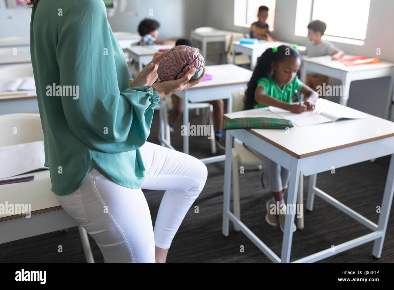 Midsection of caucasian young female teacher with brain model and ...