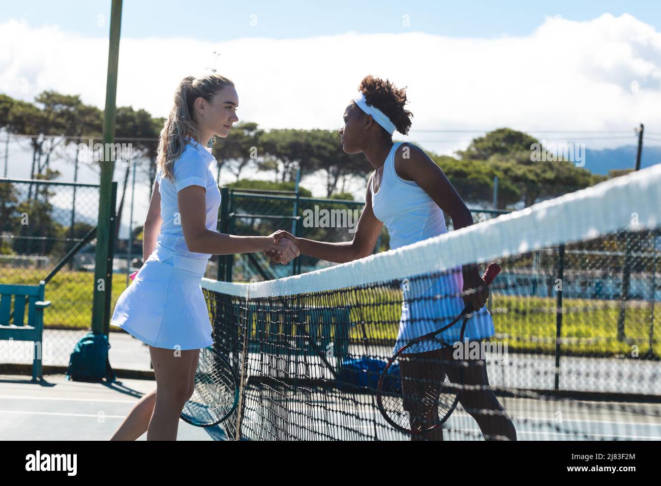 Multiracial handshake hi-res stock photography and images - Alamy