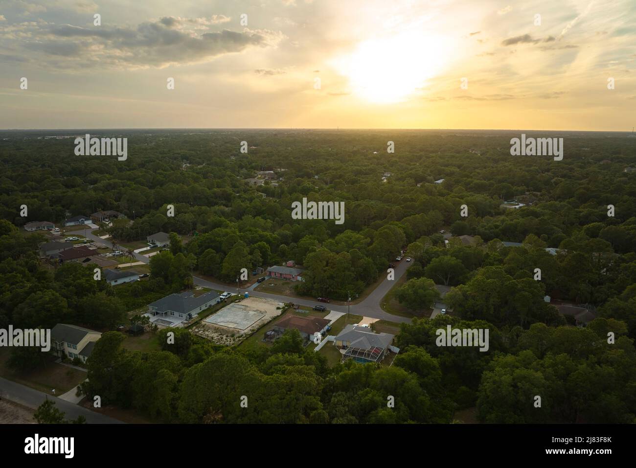 Aerial landscape view of suburban private houses between green palm ...