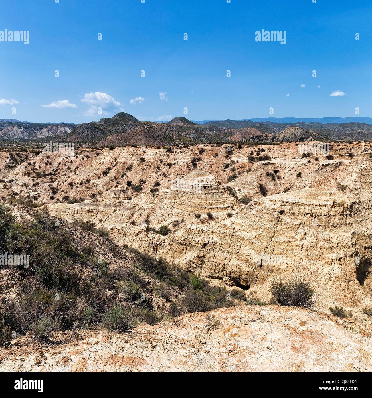 Semi desert landscape in nature reserve hi-res stock photography and ...