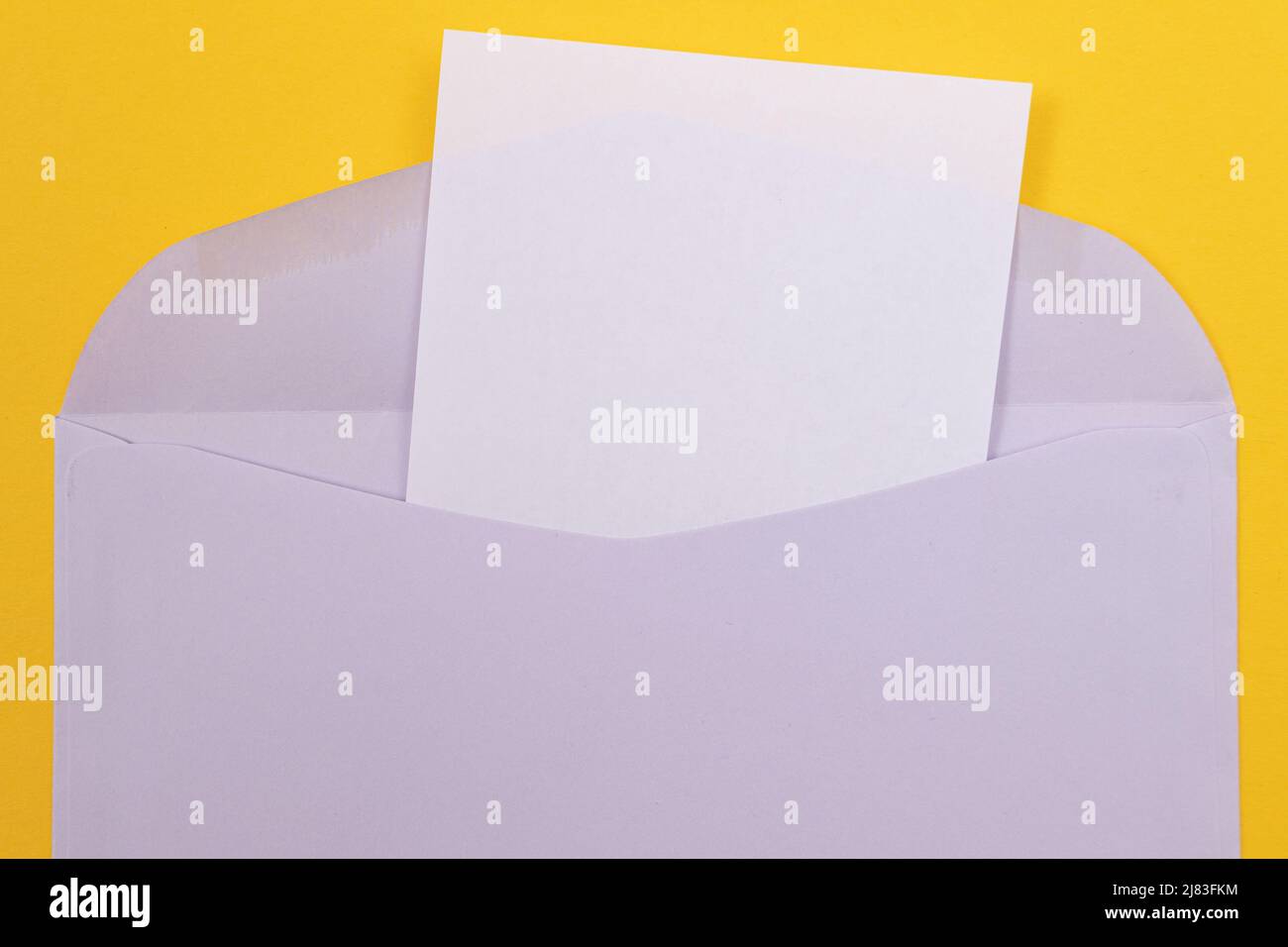 Violet Envelope with Blank White Sheet of Paper Inside, Lying on Yellow ...
