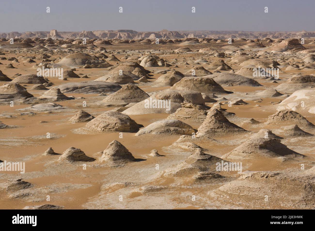 Limestone Bubbles, Fossilised Mangrove Roots, Northern White Desert, near Bahariya Oasis, Egypt ...