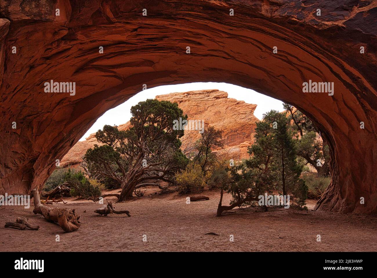 Through arches hi-res stock photography and images - Alamy