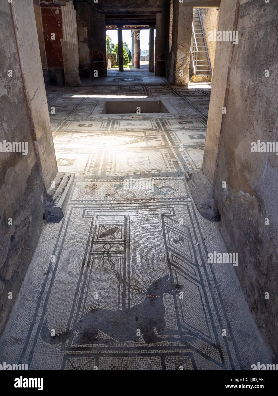 Floor mosaic pompeii hi-res stock photography and images - Alamy