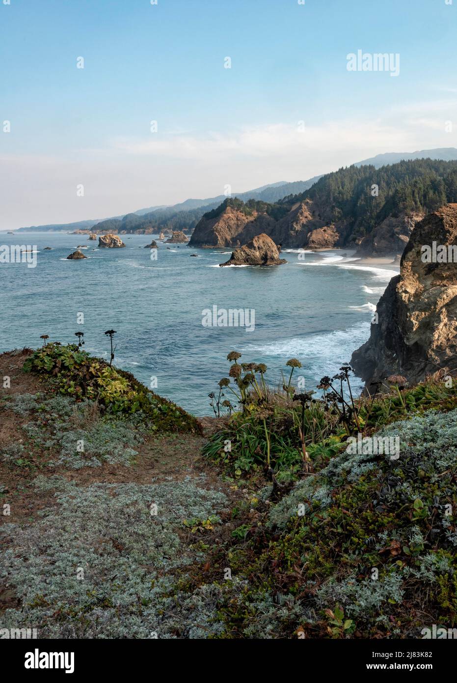 Coastal landscape with rugged rocks, Samuel H. Boardman State Scenic ...