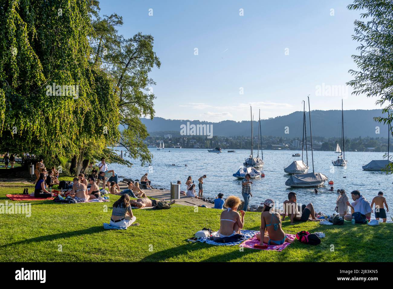 Lake Zurich shore, bathers relaxing in the evening, Blatterwiese ...