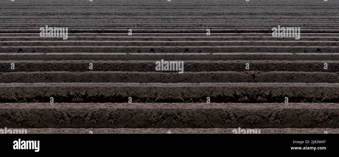 Deep grooves in the earth hi-res stock photography and images - Alamy