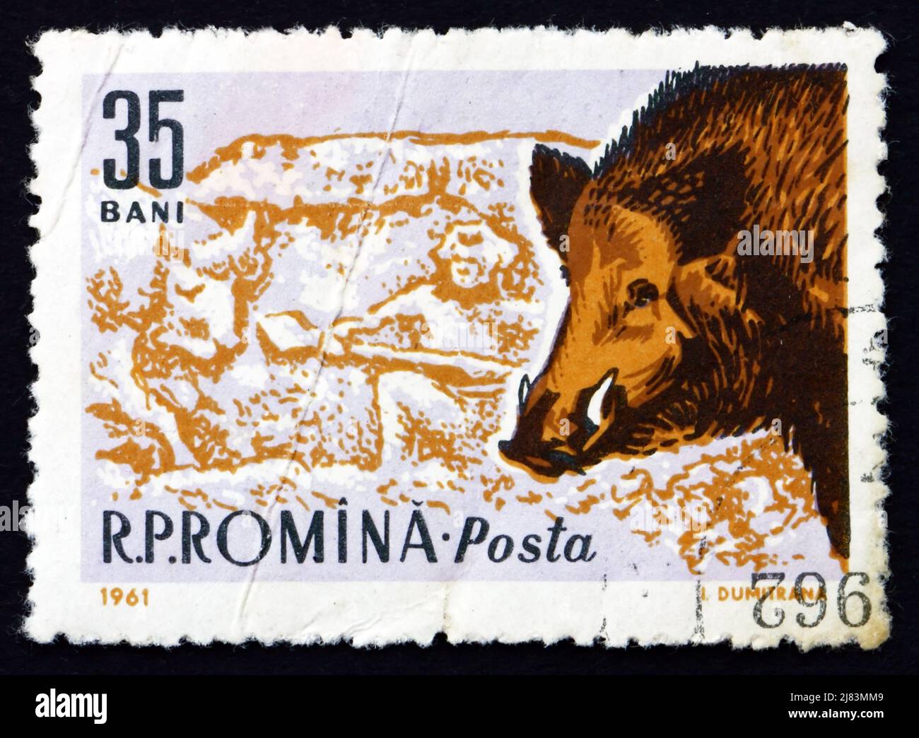 Sus letter hi-res stock photography and images - Alamy